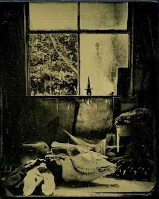 robert shimmin wet plate photography