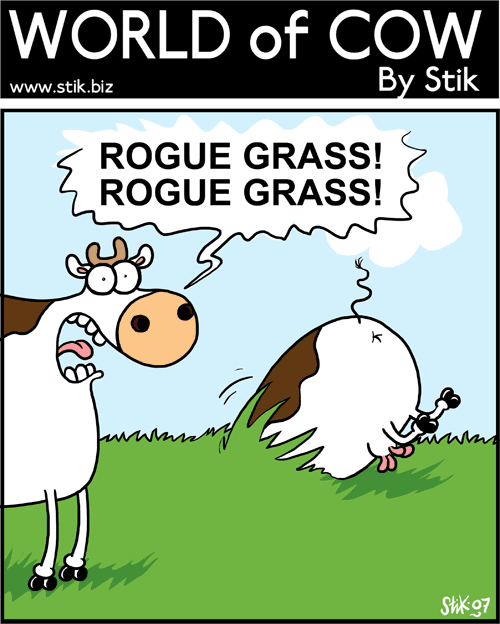 The Cartoonist known as StiK: WoC 384 Cartoon and making of Film.