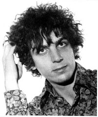 tear down the wall: biografia de Syd