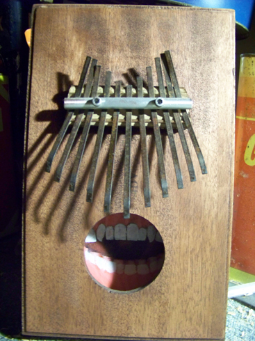 Homemade Banjos