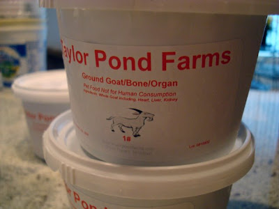 I Eat Raw Meat: Raw Food Diet, Day 91- Meat Meat Everywhere