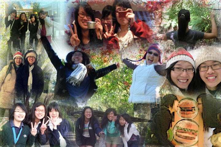 IT303Teresa: COLLAGE OF MEMORIES
