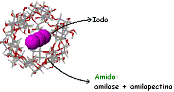 Nutrição em Prática: Experiência com amido