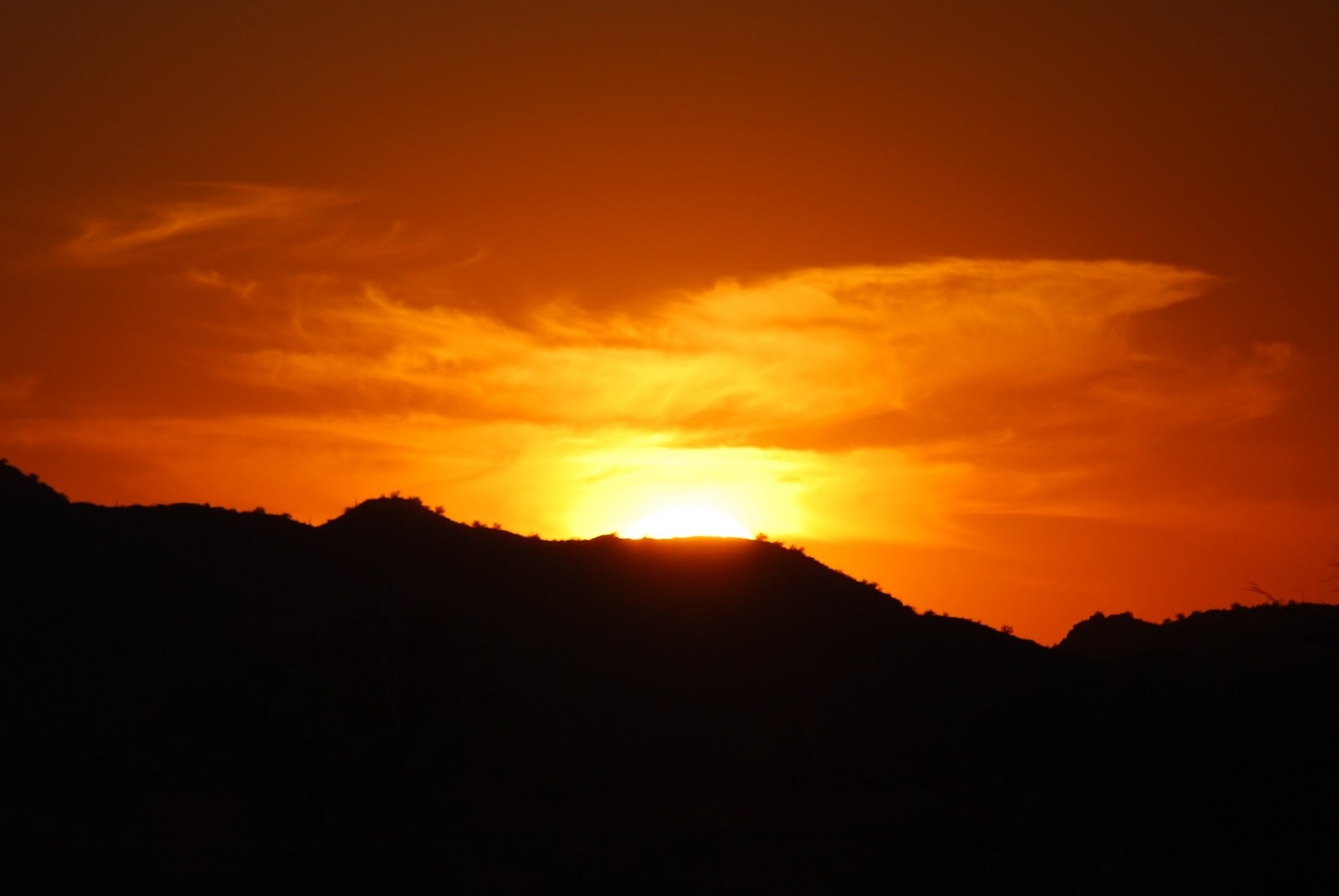 The World As I See It: Sunsets