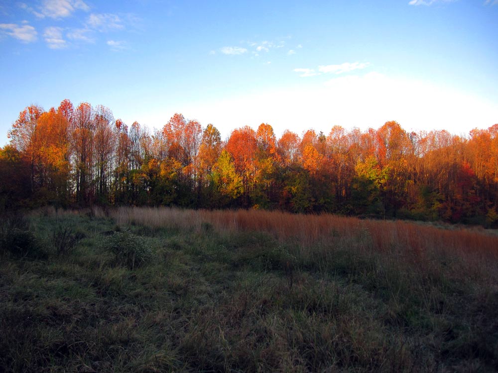 The Mclean Furgang: Nottoway Park