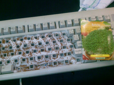 Robert Merva: Čo spôsobí nečinnosť v práci.