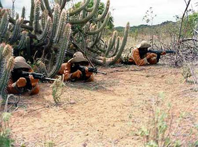 BLOG DO FREDSON PAIVA: SERTÃO - AULA PRÁTICA SOBRE A CAATINGA