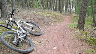 Wandering About Jeff: Allegrippis Trails