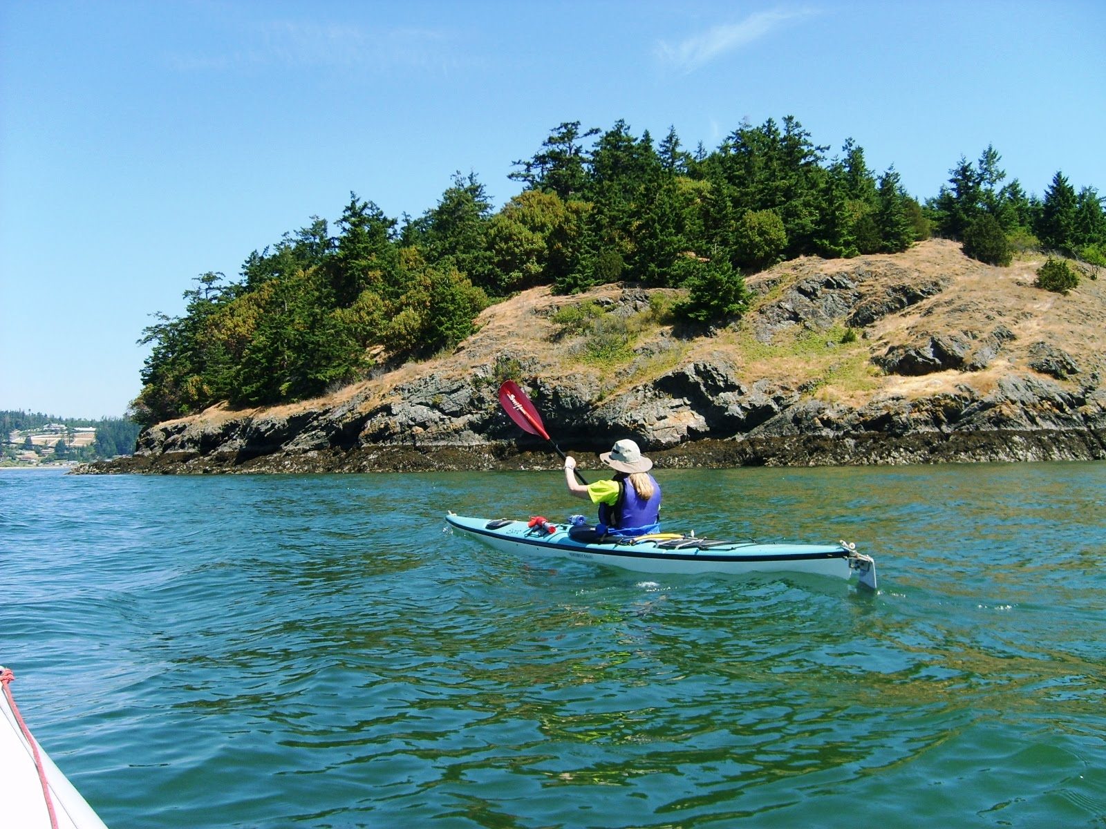 Pacific Northwest Seasons: Kayaking Skagit Bay: Falcons, Bull Kelp, and ...
