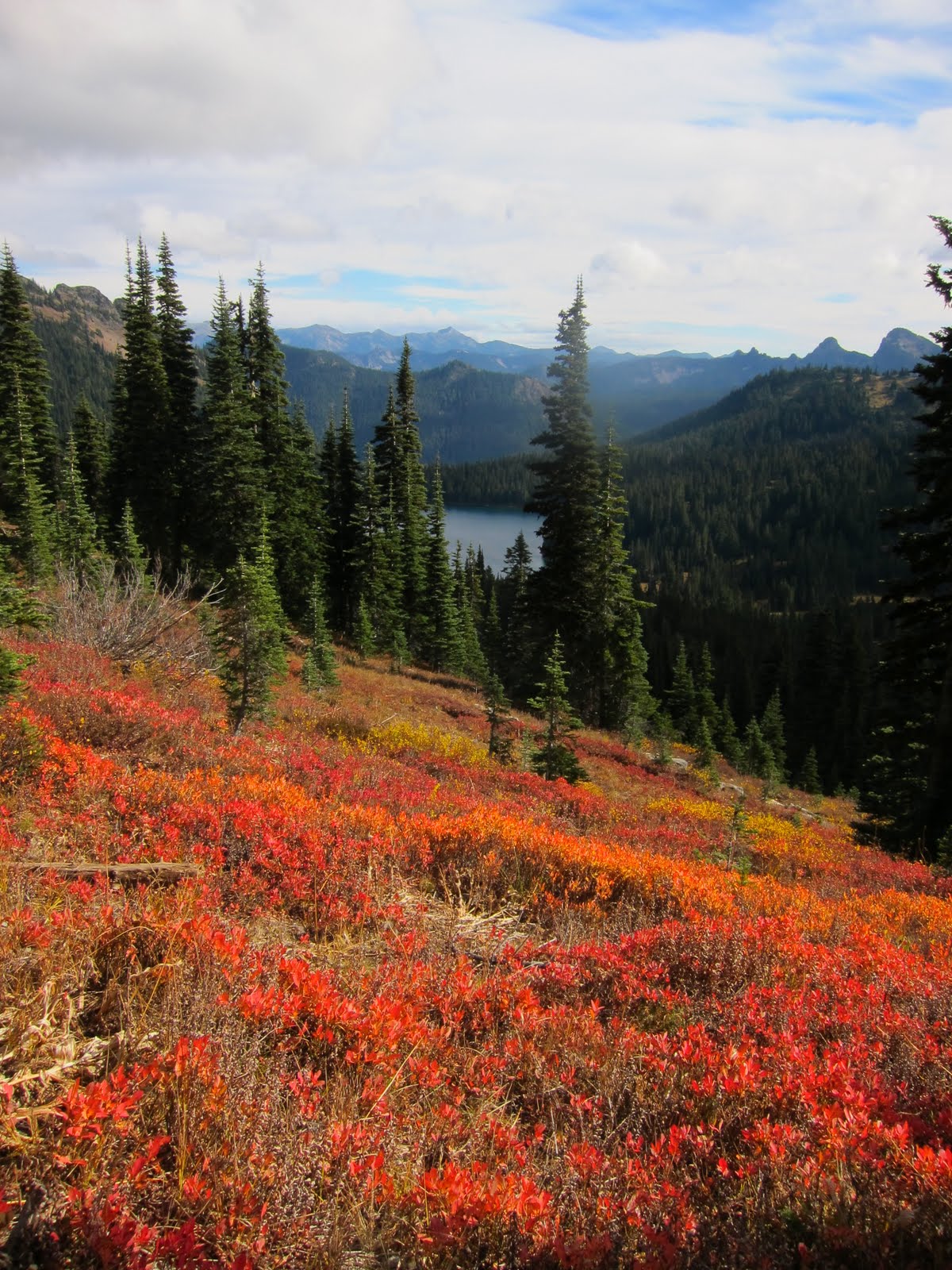 Pacific Northwest Seasons: Northwest Fall Road Trip: Hiking Naches Peak ...