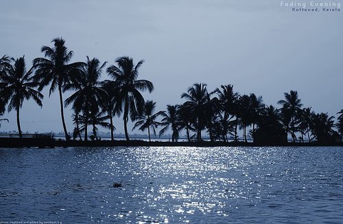 MONEY AND LIFE: WORD'S MOST BEAUTIFUL PLACE "KUTTANADU"(INDIA,KERALA)