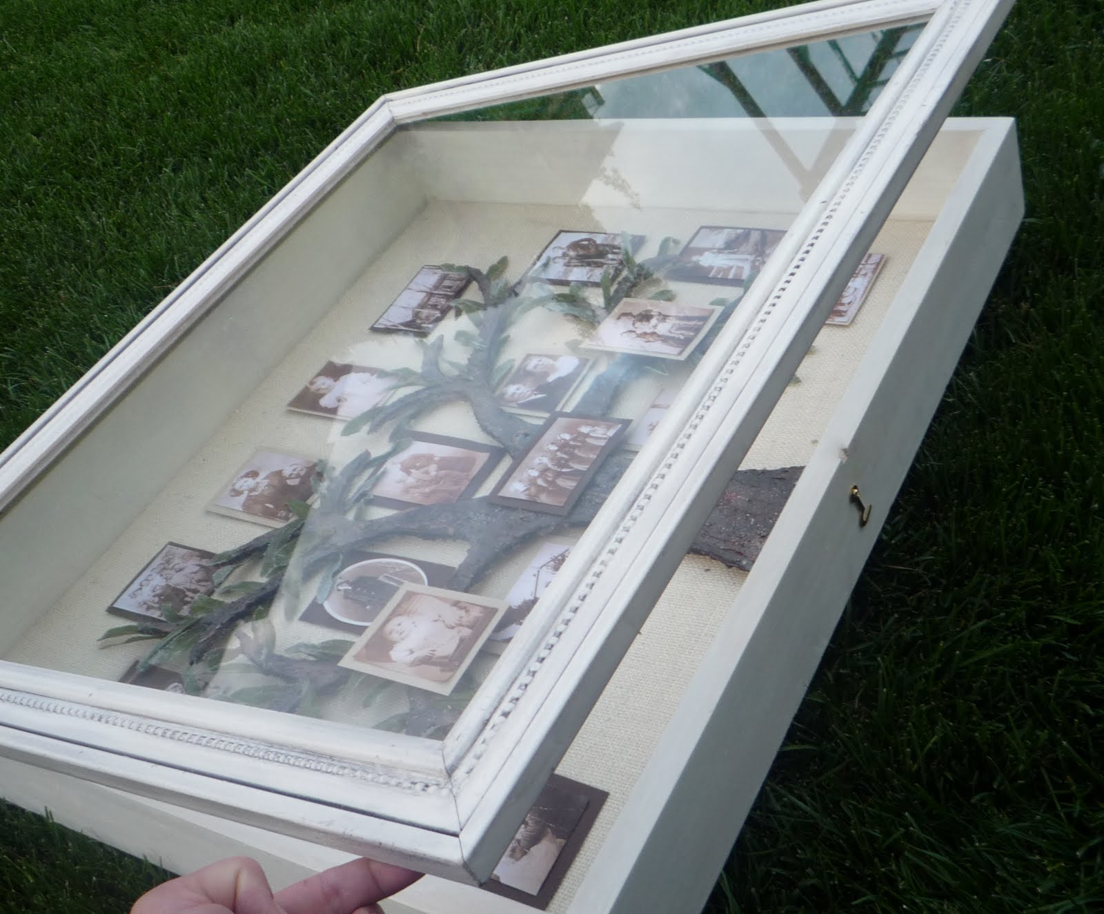 Crafty Sisters: My Family Tree Shadow Box