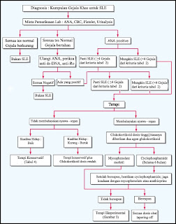 SYSTEMIC LUPUS ERITHEMATOSUS (SLE)