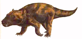 TRIÁSSICO: CYNOGNATHUS