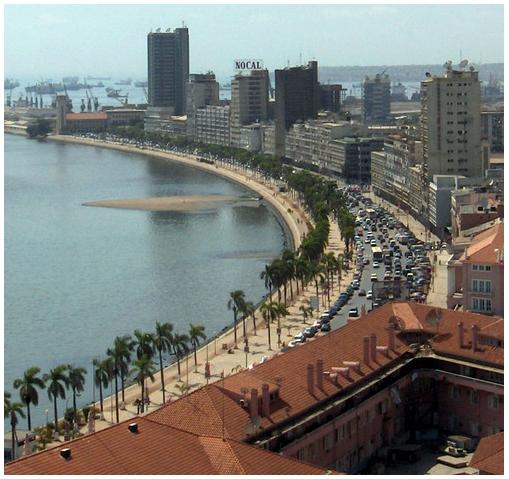 HORTA XXI: Avenida Marginal