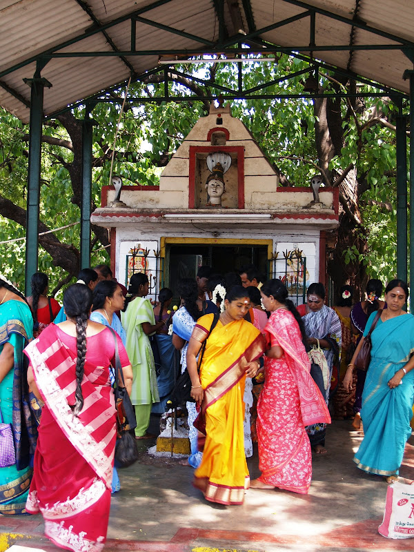 Peter's Photo Acoustic Alchemy: Pious People - Worship before work ...