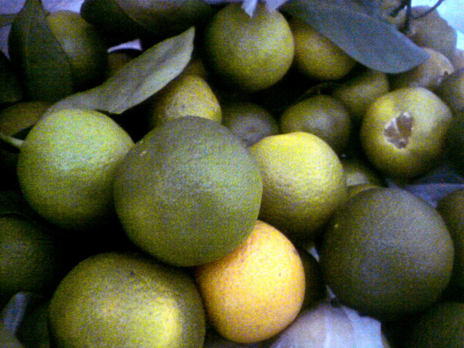 I am finally home: Kalamansi Muffin