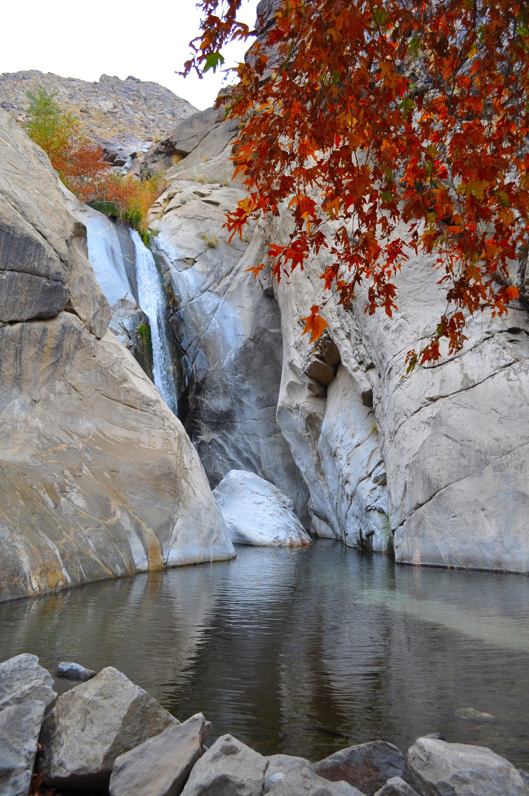 Travels, Trails and Tales: Day 5 - Tahquitz Canyon and Falls