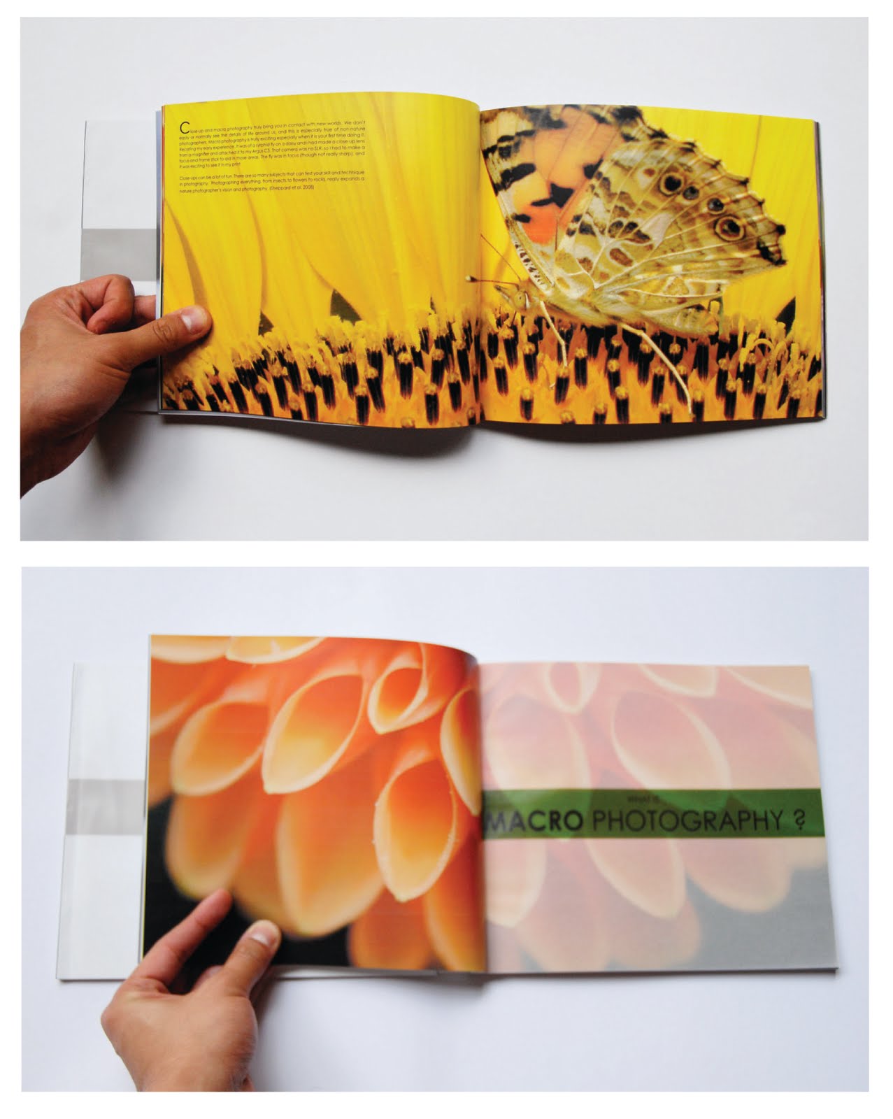 FM: Macro Photography Book