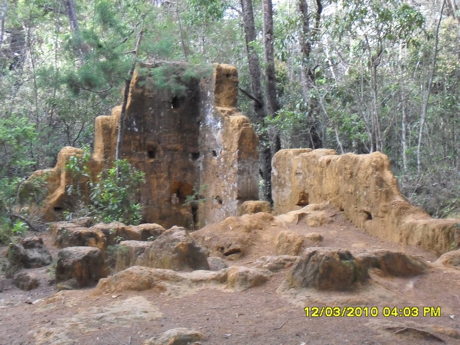 LEVEL 1: PARQUE ARVÍ