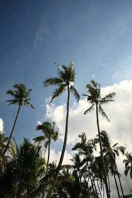 Part 2: Exploring the beauty of Alona Beach! | My Little World by Mommy ...