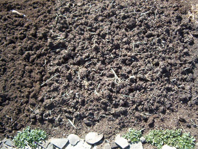 Plants and Stones: Muck