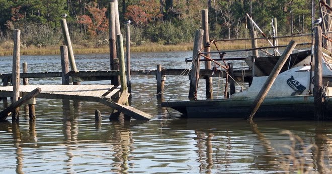 Reflections From the Fence: 2009-10 Winter Tana Tour, Bon Secour River ...
