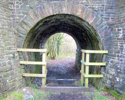 The City With A View: Clyne Valley Cycle Track