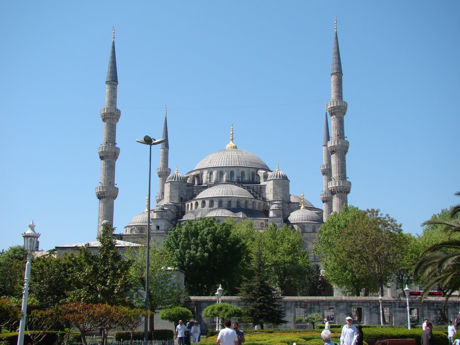 Rescheva potepanja: Turčija 2010