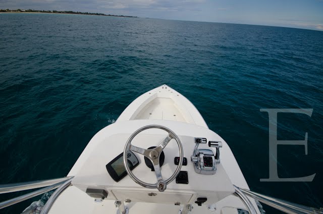 Ejazzle's Toilet: The 39 Venture