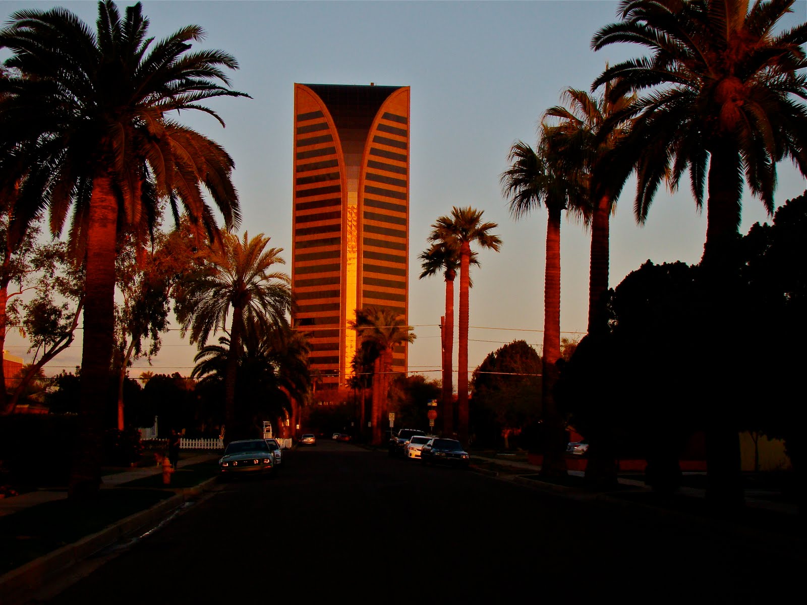 Scottsdale Daily Photo: Photo: Side View of Viad Tower