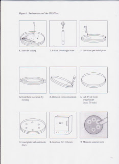 The method is the same as the one we do in micro lab. (See below)