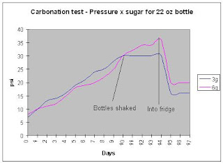 Homebrewing Beer: Carbonation test