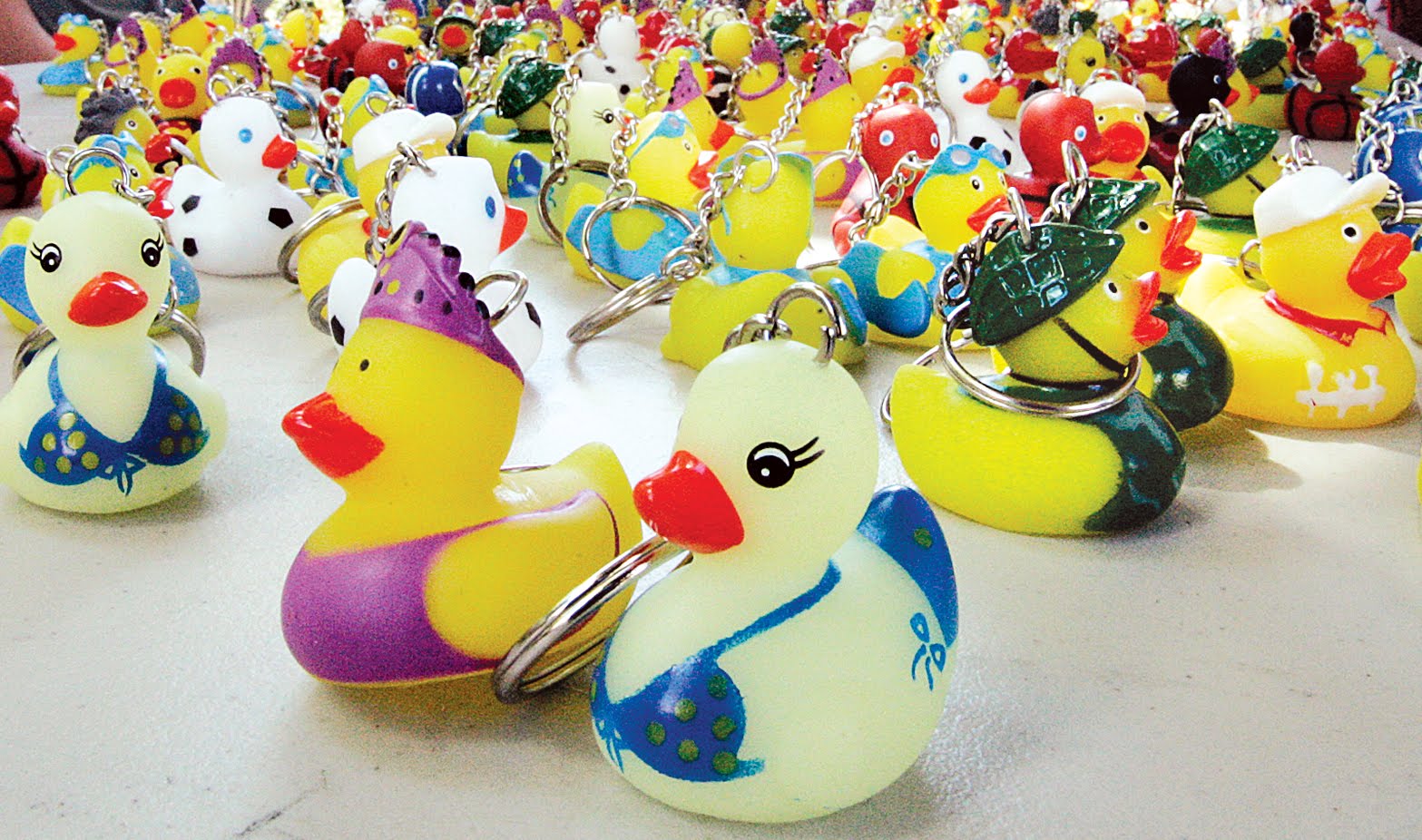 Snapshots: Got duck?