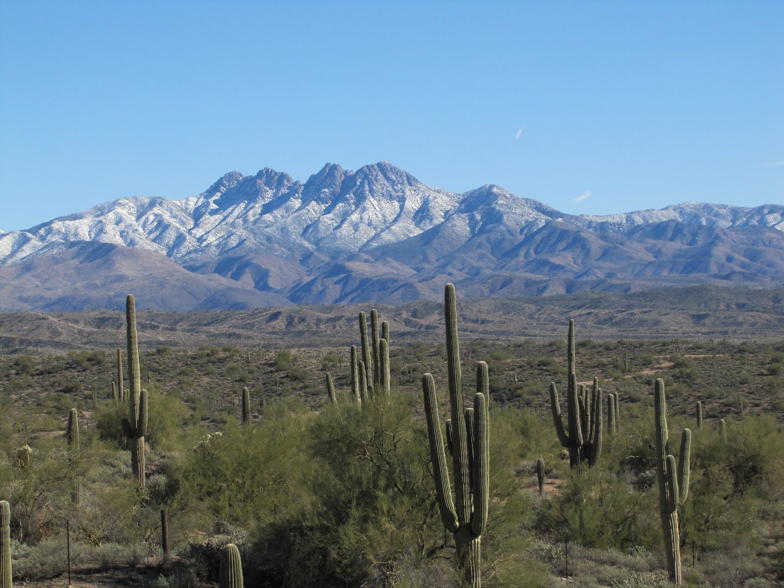Travel With the Breeze: Frozen Arizona