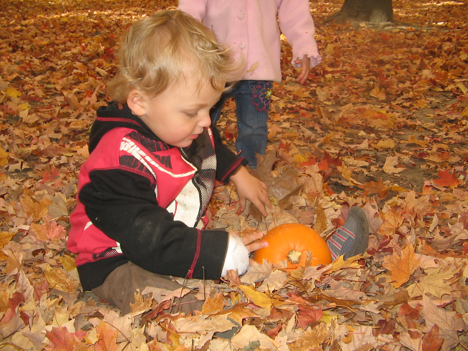 High Park Home Daycare Simple Outdoor Fall Activities For 2 year olds high-park-home-daycare-simple-outdoor-fall-activities-for-2-year-olds