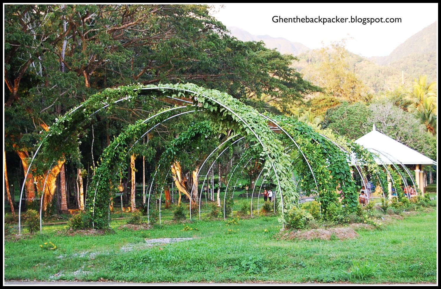 Travel ^ Adventure ^ Photography: Visayas State University: BAYBAY CITY ...