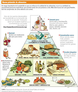 Elementos quimicos en el cuerpo: IMAGENES DE CHON