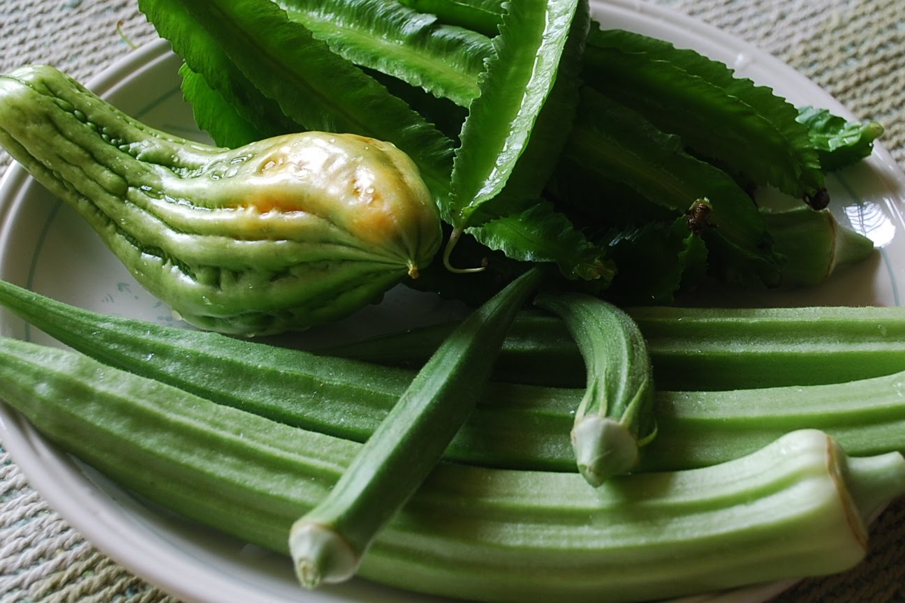 My little vegetable garden: August 2010
