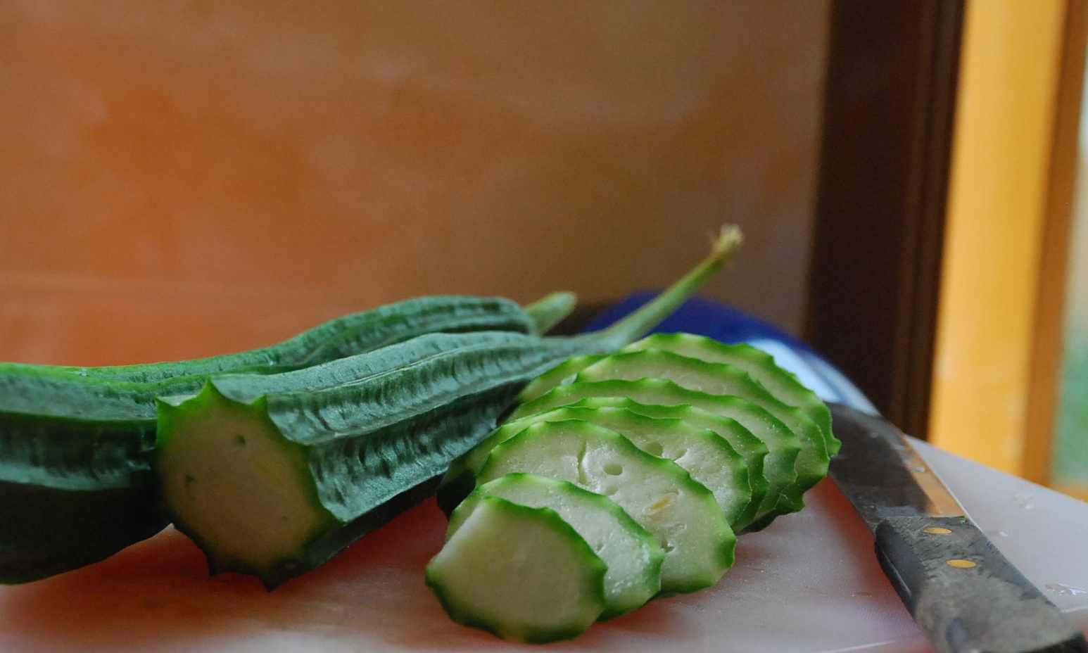 My little vegetable garden: The first two petola / luffa