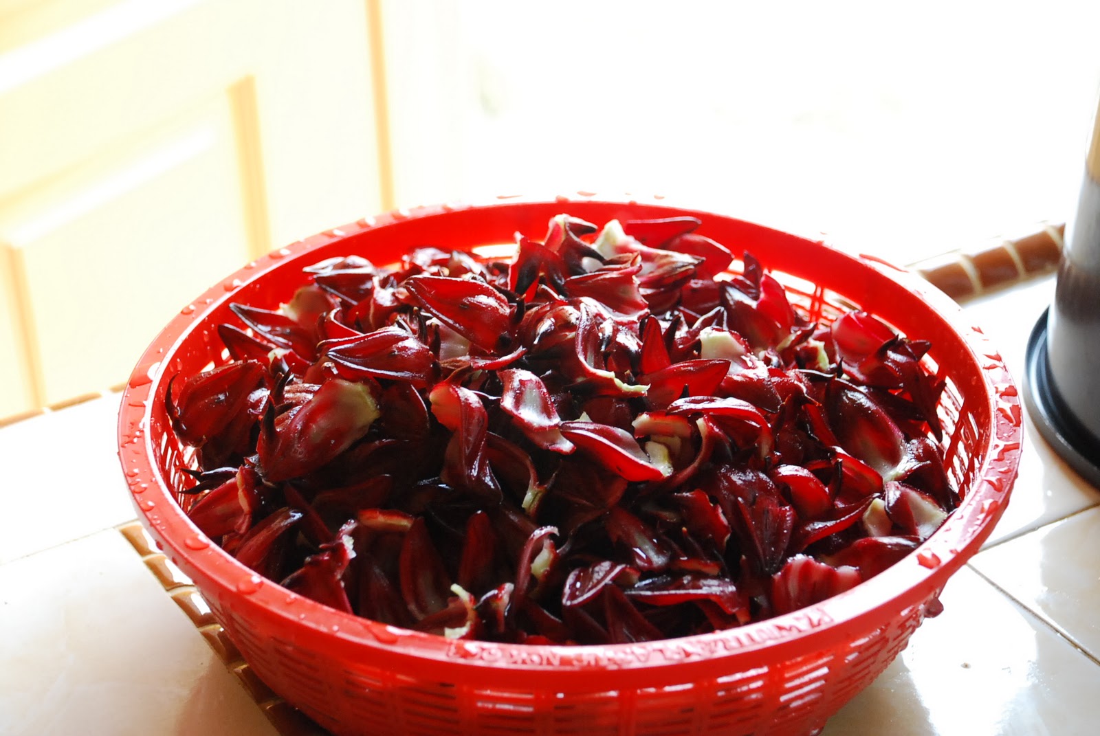 My little vegetable garden: First roselle juice and jam in Tanah Merah.