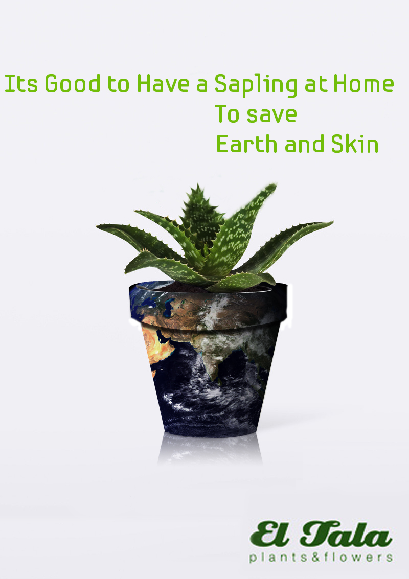 Portfolio: My Creative Ads