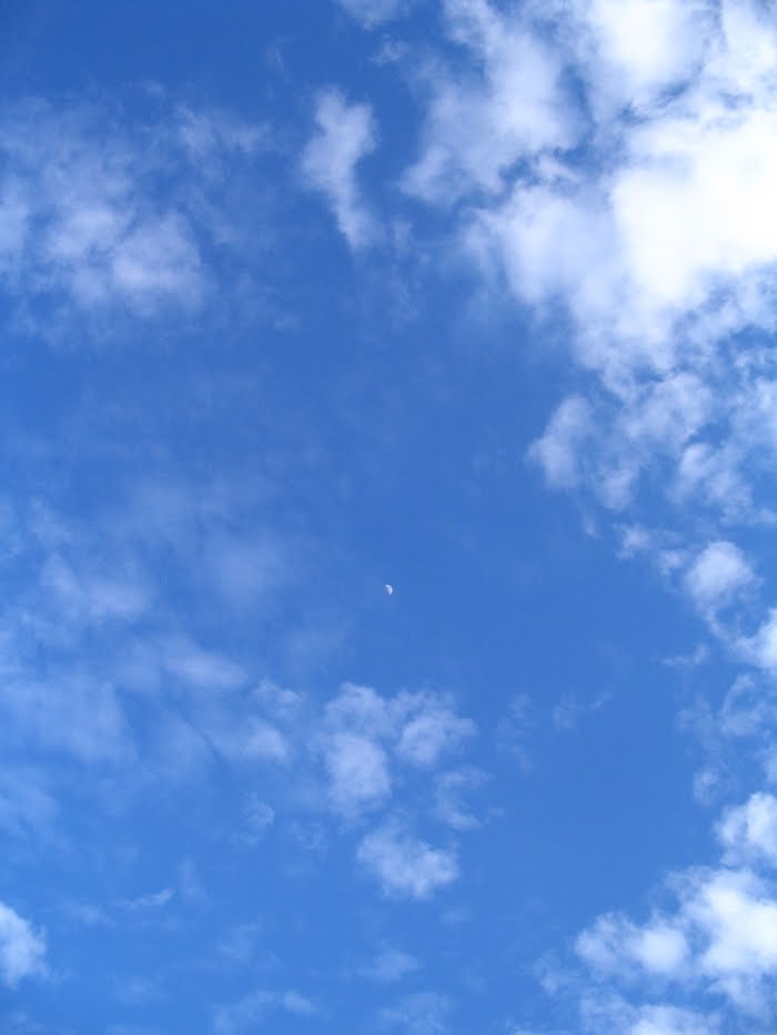 Tenho um blog: Por que o céu é azul?