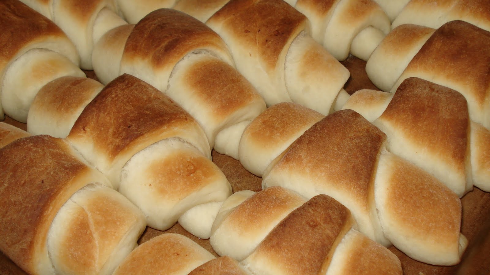 Kim's Korner: 60 Minute Dinner Rolls