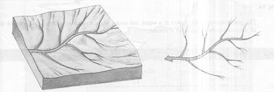 A Geographical Sanctuary of Work: Summative Assessment