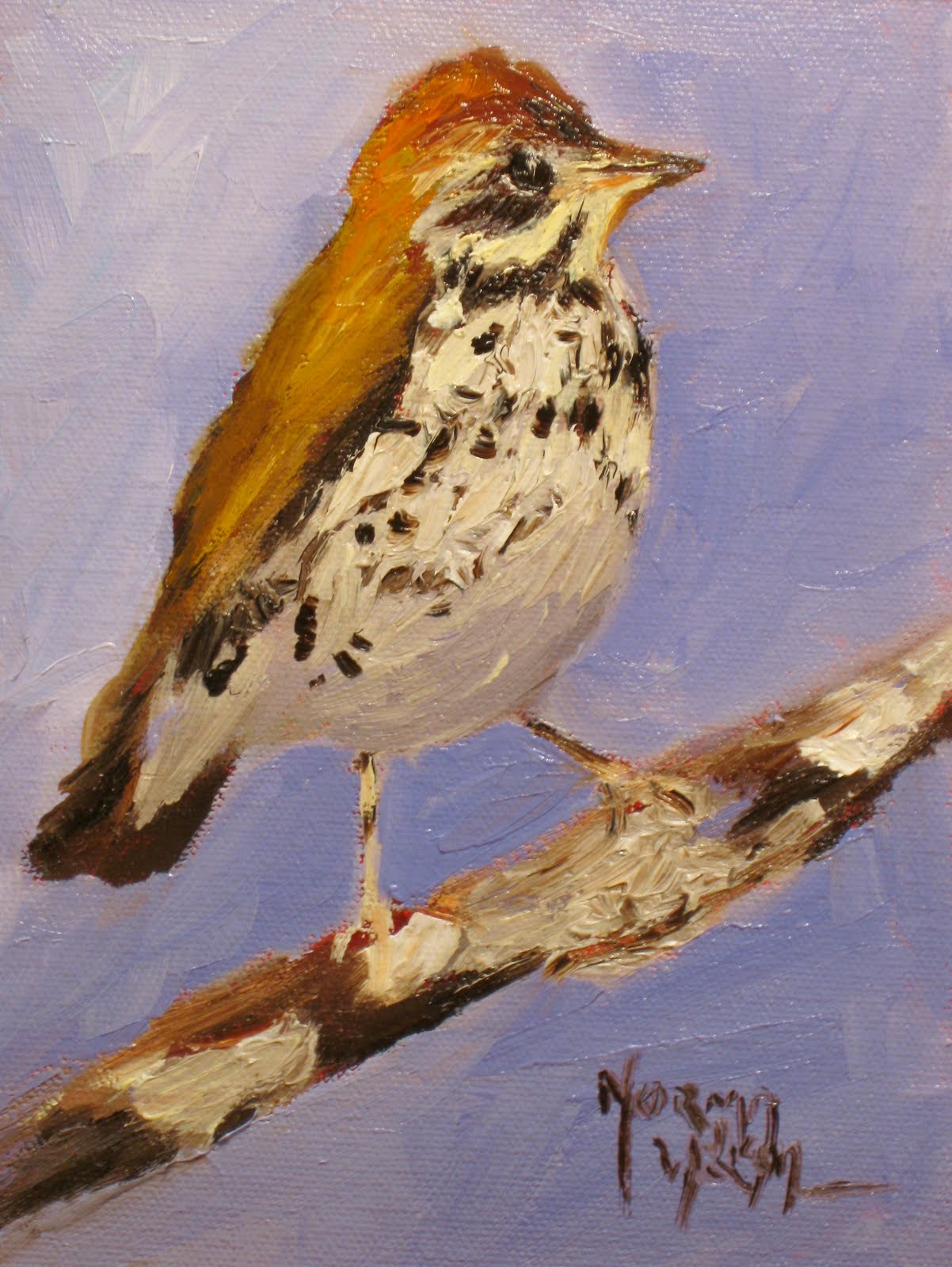 Norma Wilson Virginia Artist Original Oil Wood Thrush Bird Painting ...