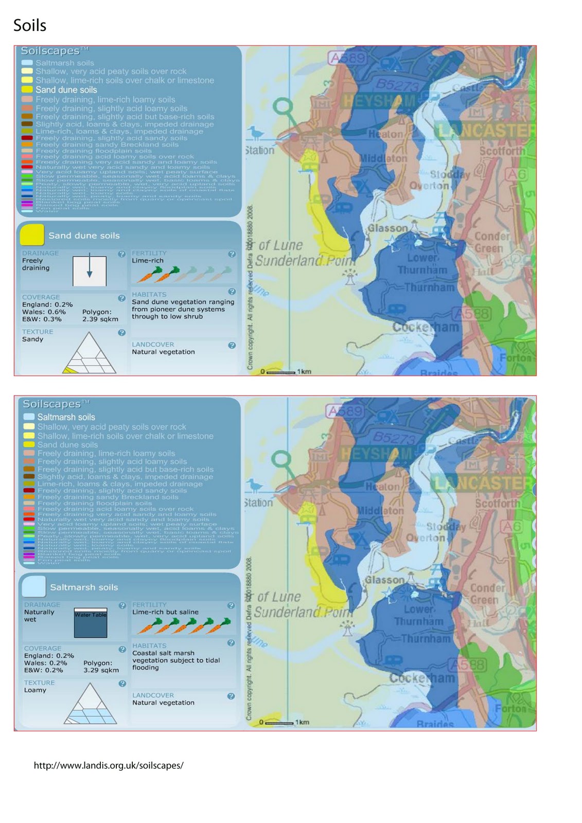 Between land and sea: Soils