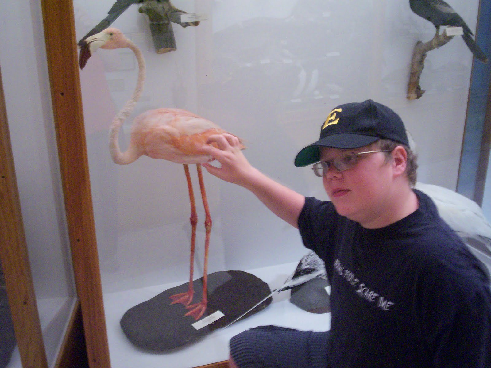 Tripping around Washington: Connor Museum - WSU