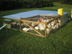 ChickenTractors.net: An automatic watering system for Chicken Tractors