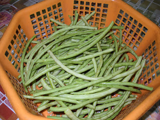 Cook & Enjoy Recipes: Cow Beans Recipes